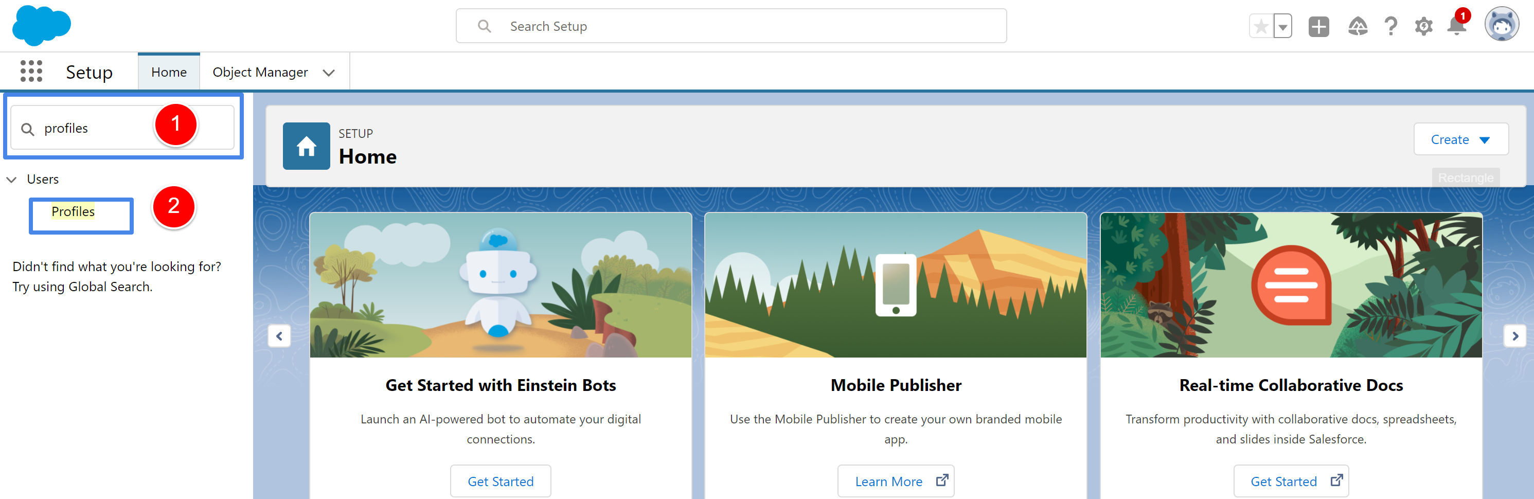 Salesforce API Access – Help Center