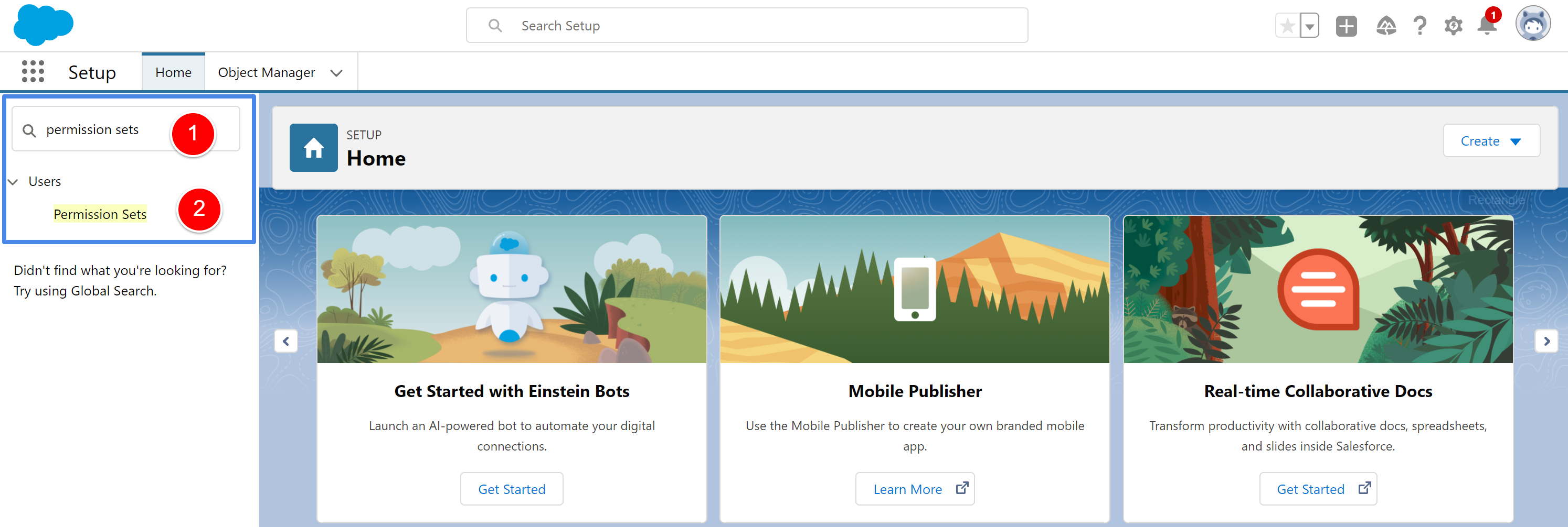 Salesforce API Access – Help Center